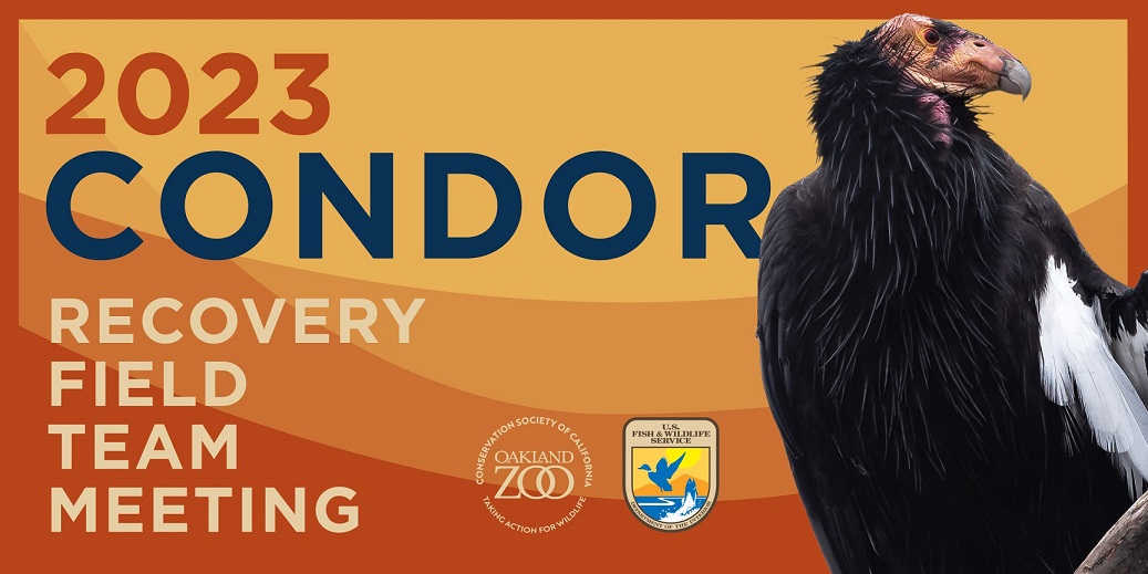 Condor Recovery Field Team Meeting | Welcome to Executive Inn & Suites